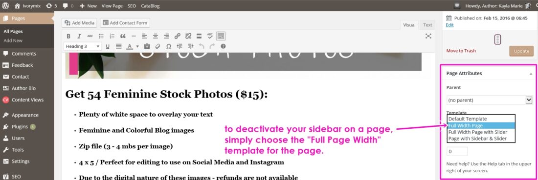 Complete guide to organizing blog menus and side bars - Ivory Mix