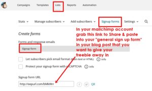 The art of sending an opt-in using MailChimp - Ivory Mix