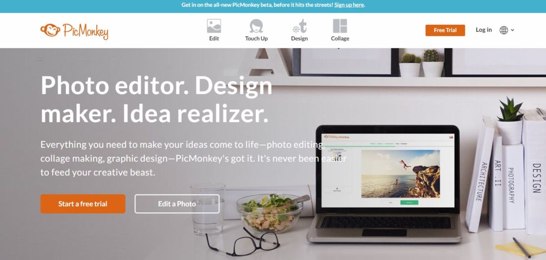 Do it Yourself Graphic Design - Ivory Mix