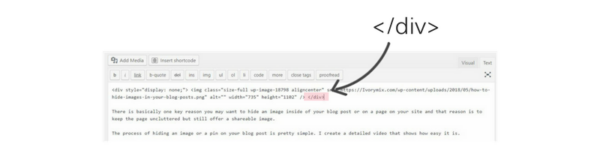 How to hide an image in your blog post - Ivory Mix