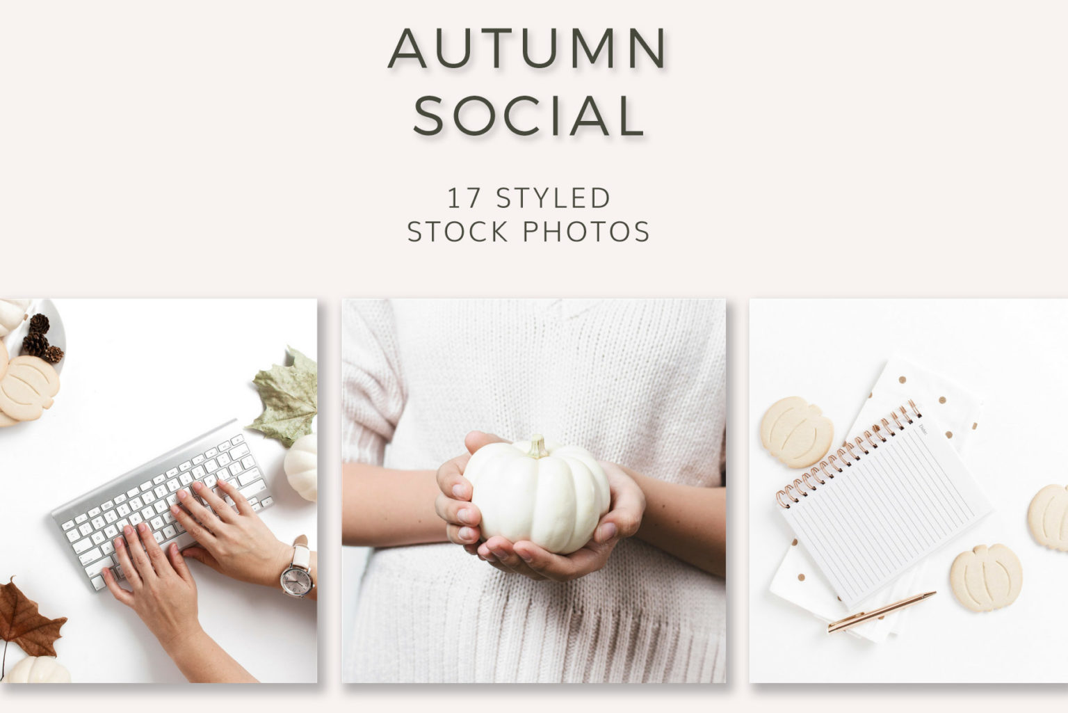 How to Create a Social Media Content Calendar for September - Ivory Mix