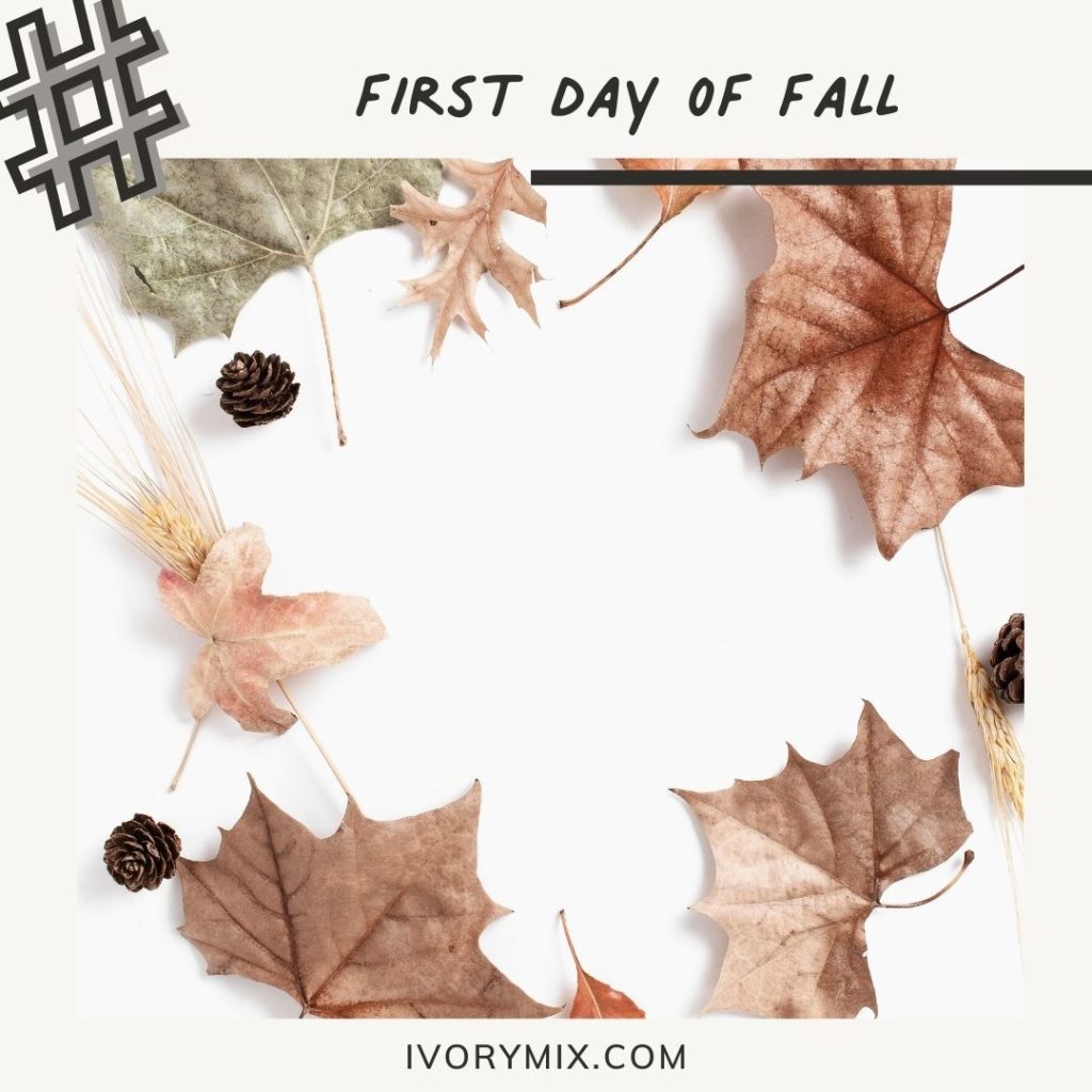 How to Create a Social Media Content Calendar for September - Ivory Mix