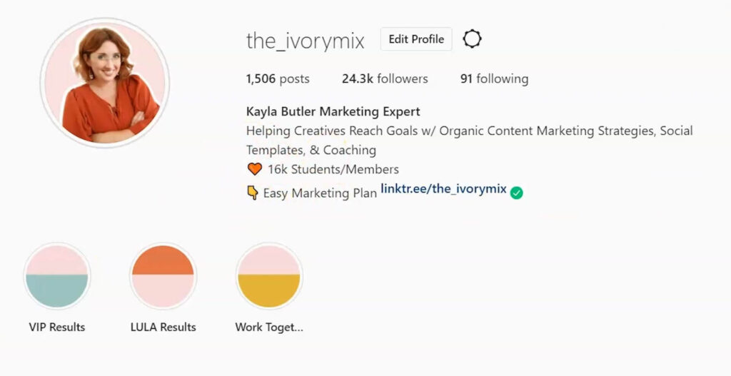 What to put in your Instagram bio to get followers - Ivory Mix