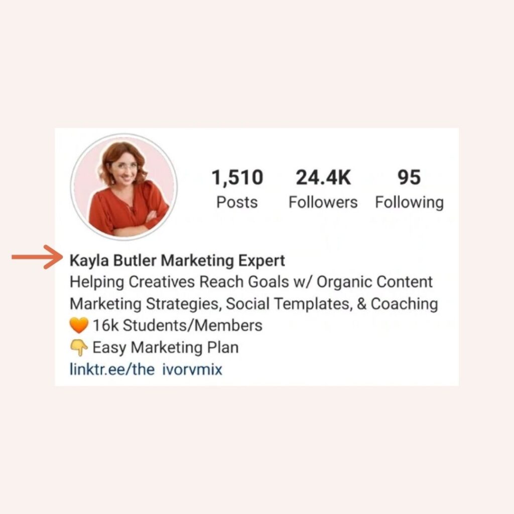 What to put in your Instagram bio to get followers - Ivory Mix