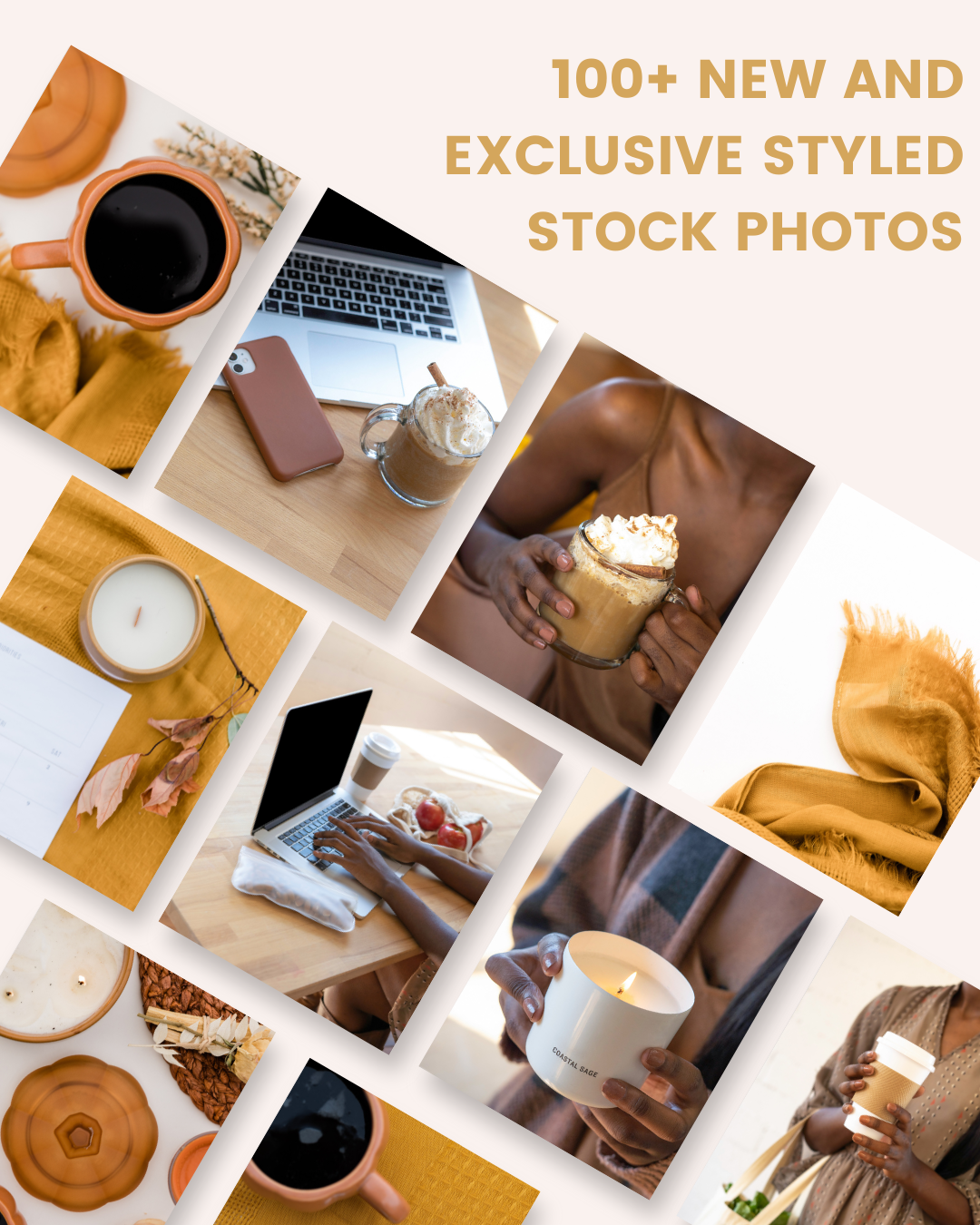 Instagram Workshop Offer - Ivory Mix