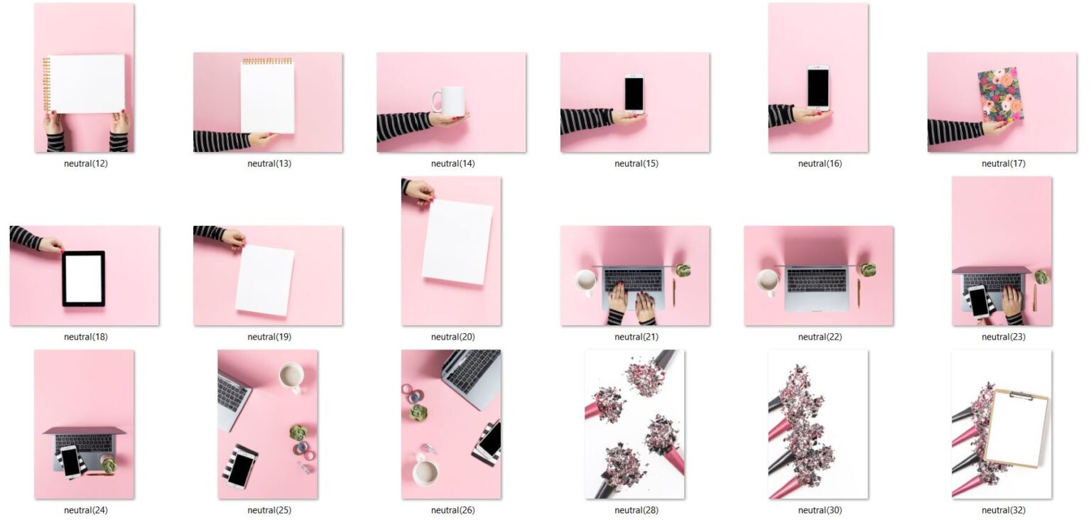 New Pink Business (20 Styled Stock Photos) - Ivory Mix