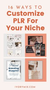 16 Ways to Customize PLR products for Your Niche and Online Business ...