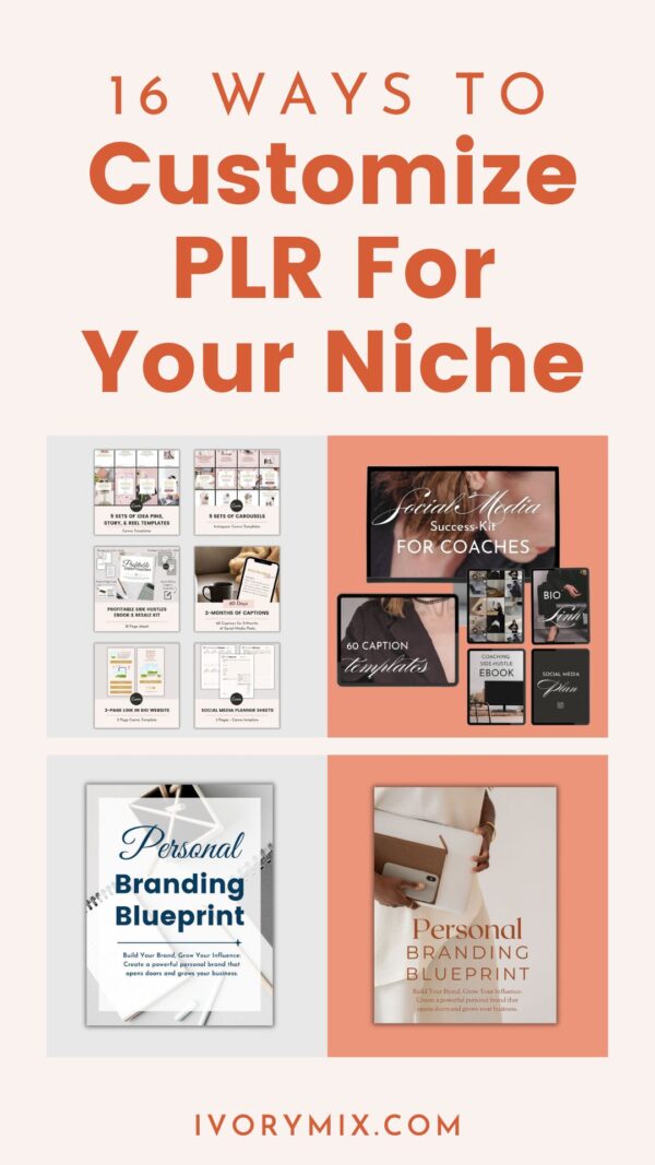 16 Ways to Customize PLR products for Your Niche and Online Business ...