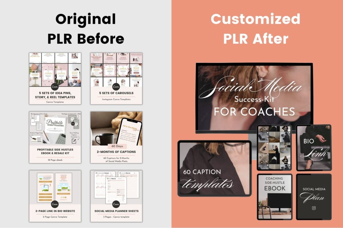 16 Ways to Customize PLR products for Your Niche and Online Business ...